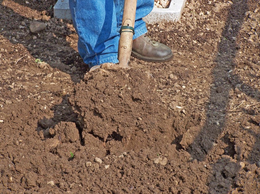 Diluire il letame con acqua, via libera ma attenzione
