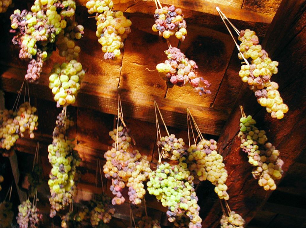 Uvetta, caratteristiche alimentari - Vita in Campagna