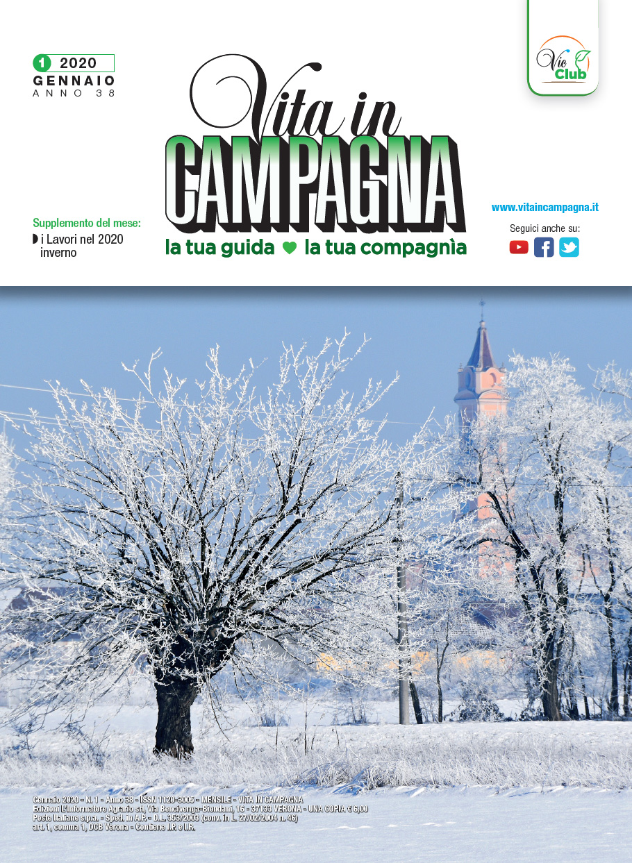 Gennaio 2020 - Vita in Campagna