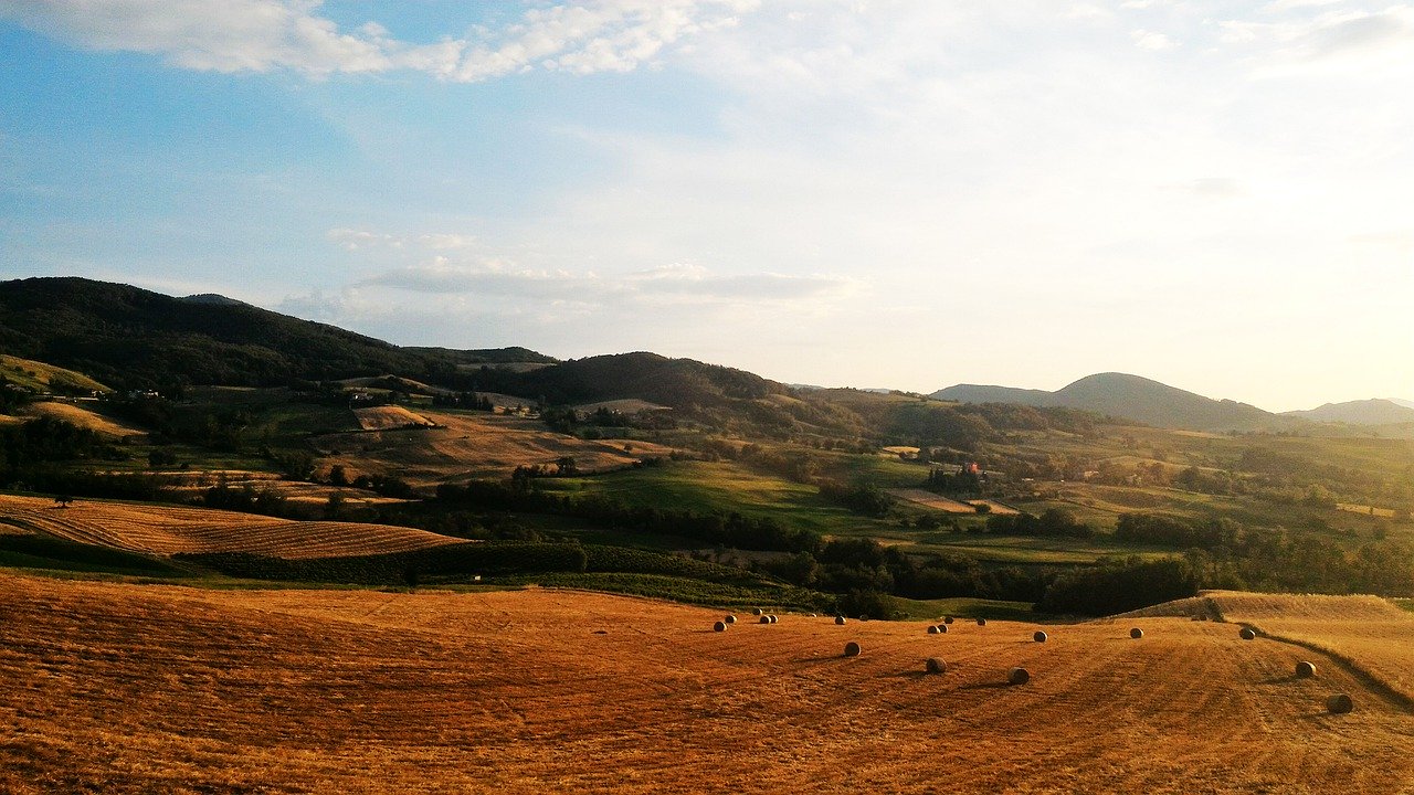 Per un'agricoltura sostenibile, amica della biodiversità - Vita in Campagna