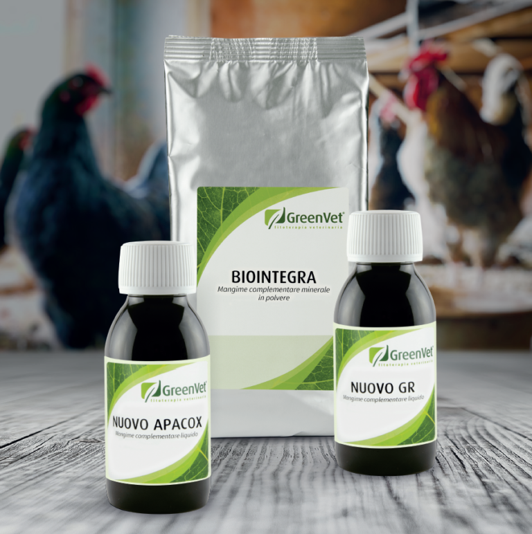 Conosci i tuoi polli? GreenVet sì, grazie alla natura! - Vita in Campagna