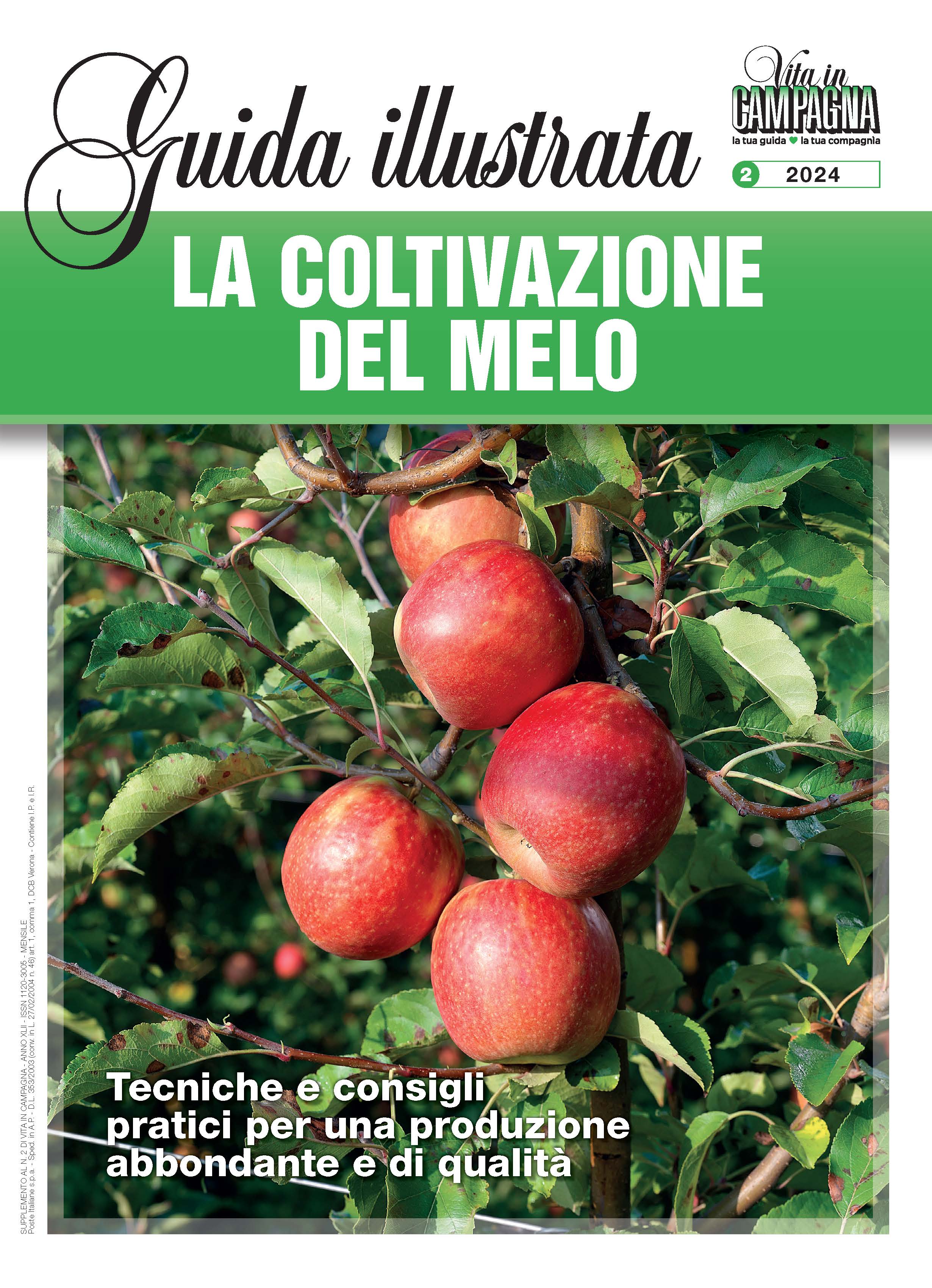 La coltivazione del melo - Vita in Campagna