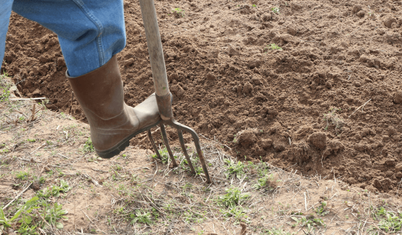 I problemi della perdita di fertilità del terreno compattato e come ...